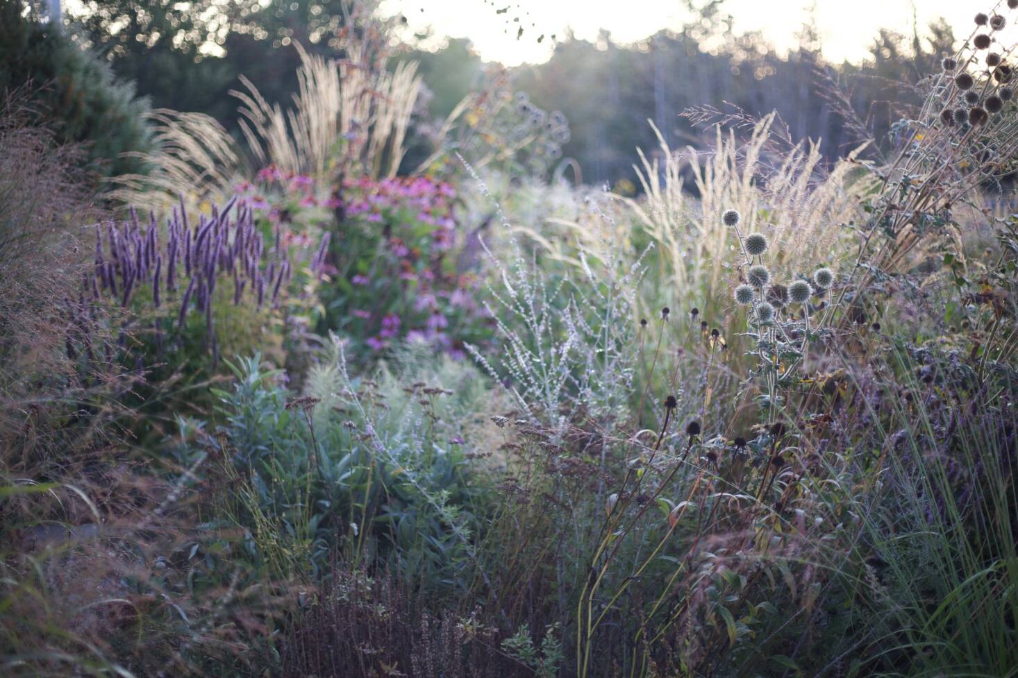 A Sense of Place: The Work of Garden Designer Caleb Davis in Maine ...