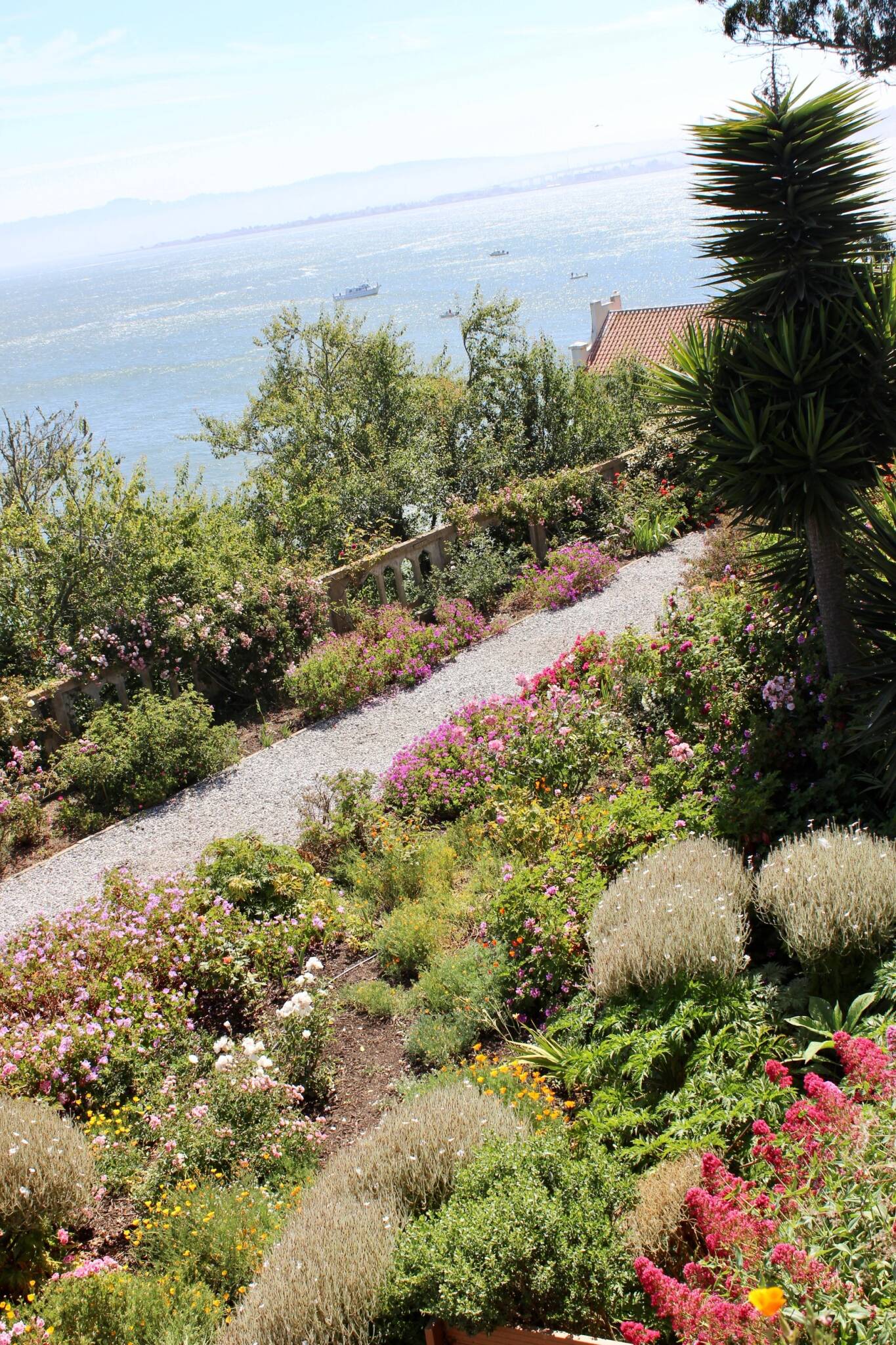 Garden Visit: The Gardens of Alcatraz - Gardenista