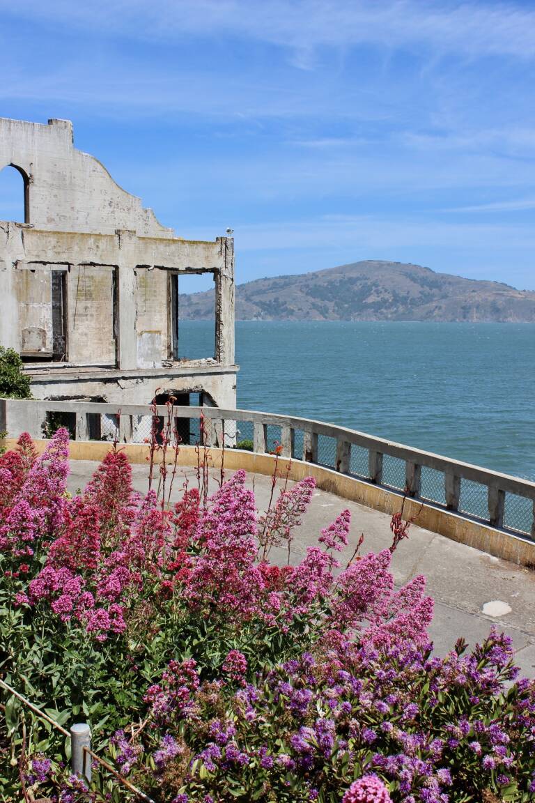Garden Visit: The Gardens of Alcatraz - Gardenista