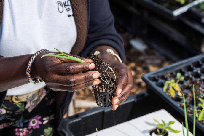 Aquaponics: Is This Closed Loop System for You? - Gardenista