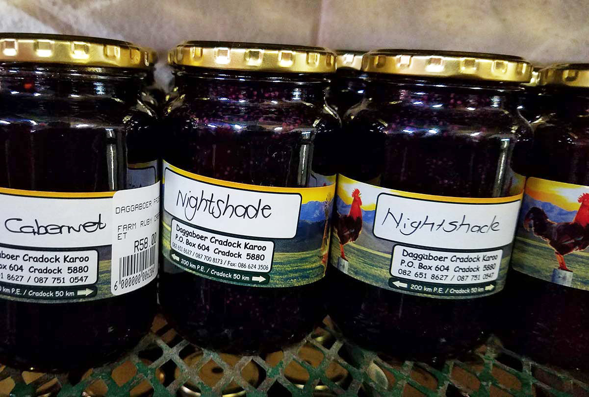 Black nightshade is not poisonous to humans: it has edible leaves and ...