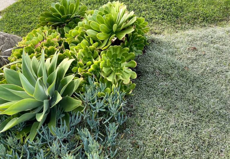 Kier Holmes, Author at Gardenista