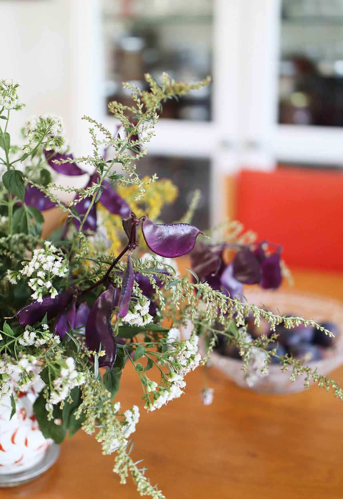 Greatest Hits 2022: Lablab—An Ancient Crop and Stunning Vine - Gardenista