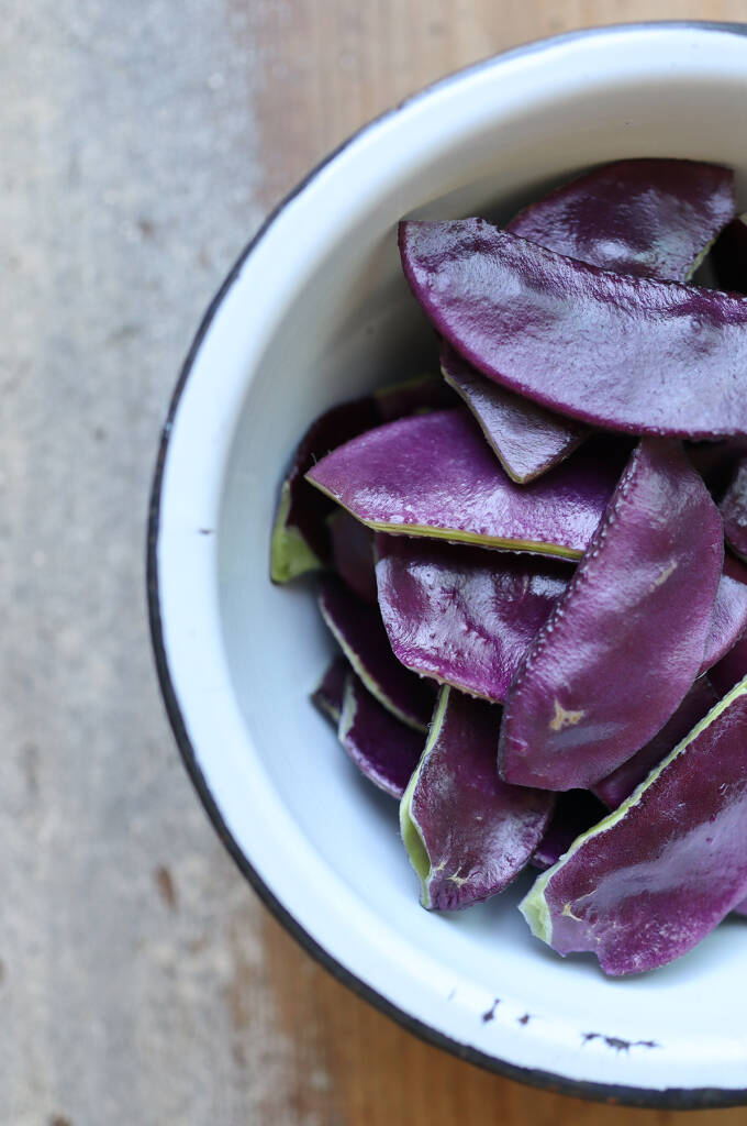 Greatest Hits 2022: Lablab—An Ancient Crop and Stunning Vine - Gardenista