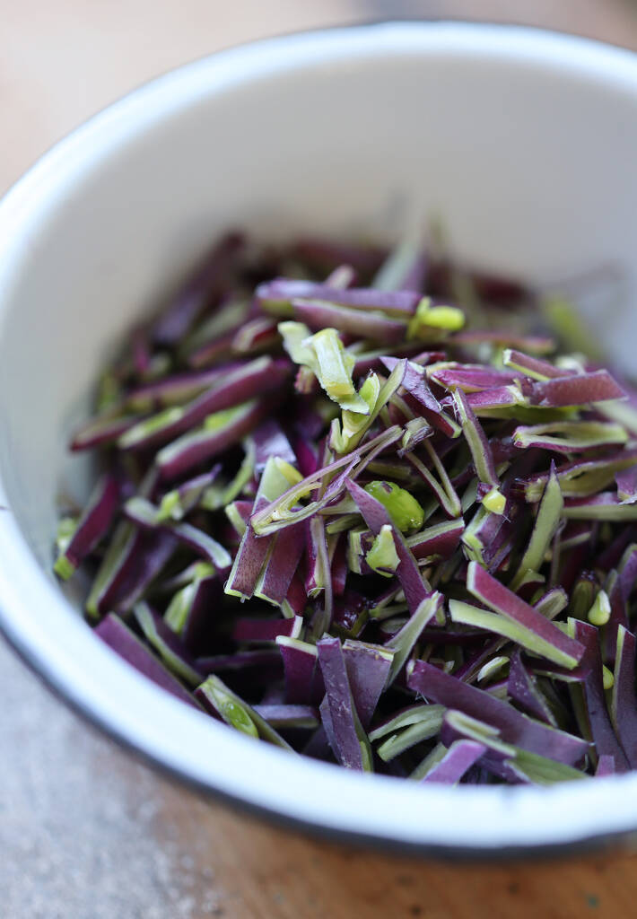 Greatest Hits 2022: Lablab—An Ancient Crop and Stunning Vine - Gardenista