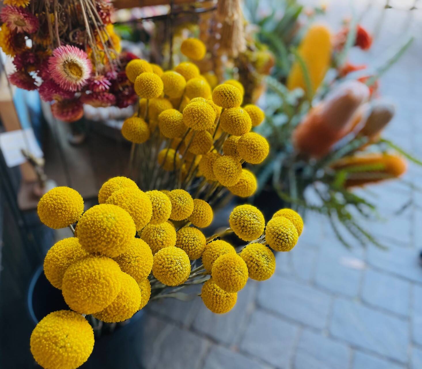 Ask the Expert: Florist Gayle Nicoletti on How to Dry Flowers - Gardenista
