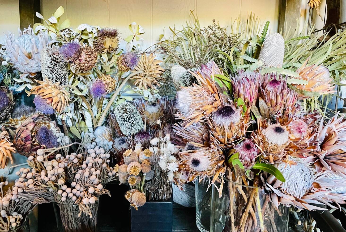 Ask the Expert: Florist Gayle Nicoletti on How to Dry Flowers - Gardenista