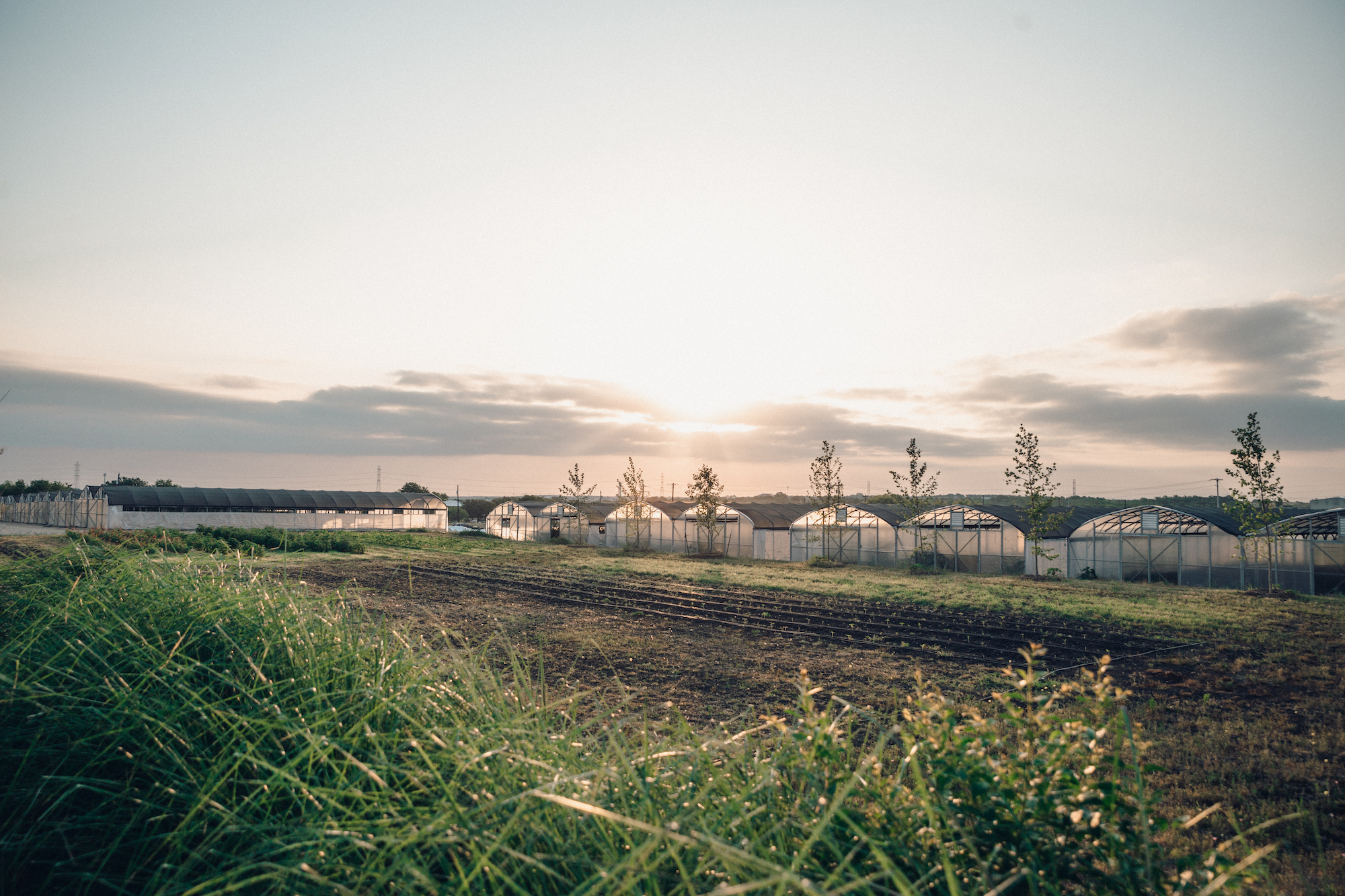 Garden Visit: Fourteen Acres Farm, the Ultimate On-the-Job Perk ...