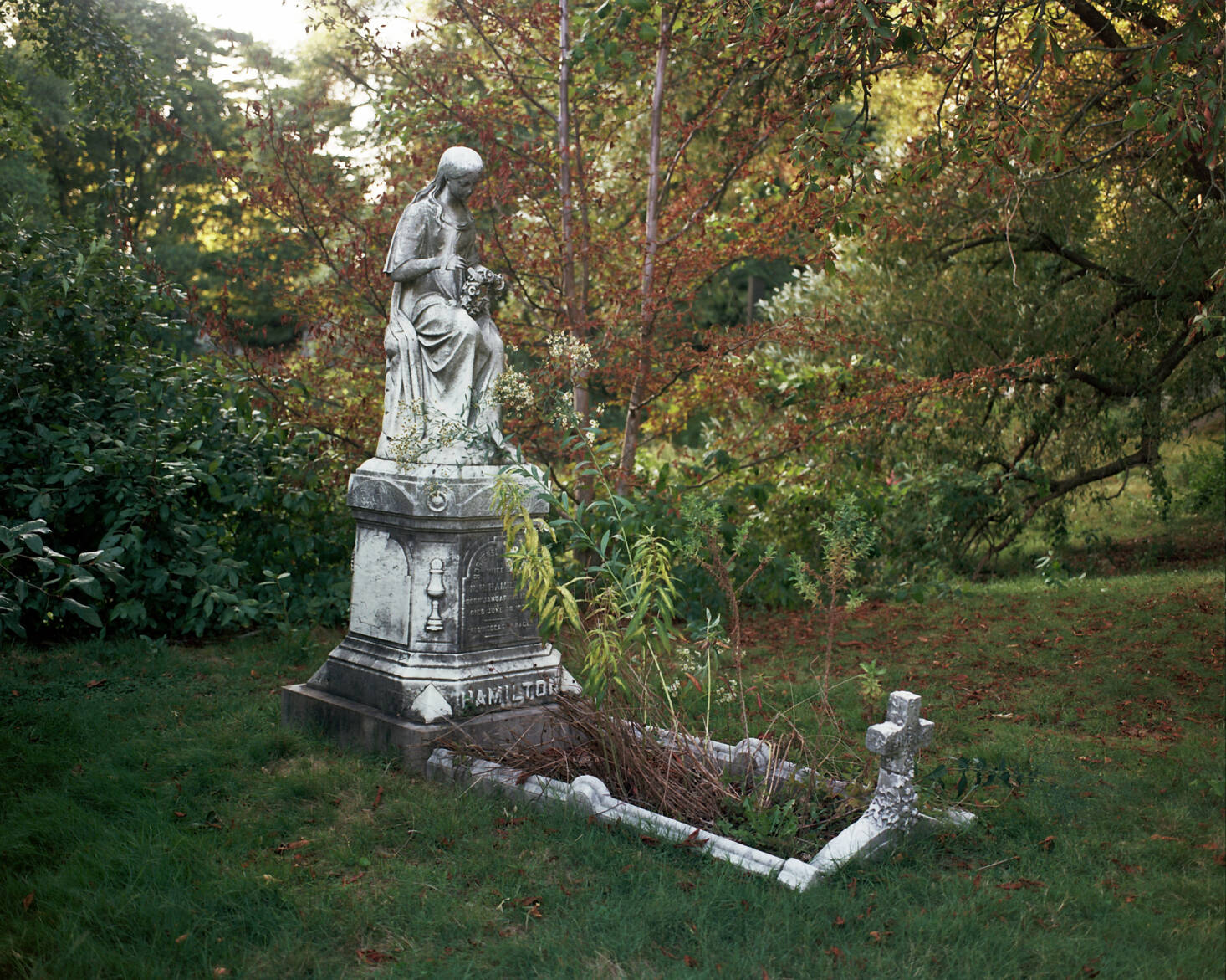 Green-Wood: Rewilding Civic Lawns, Tombs Optional - Gardenista