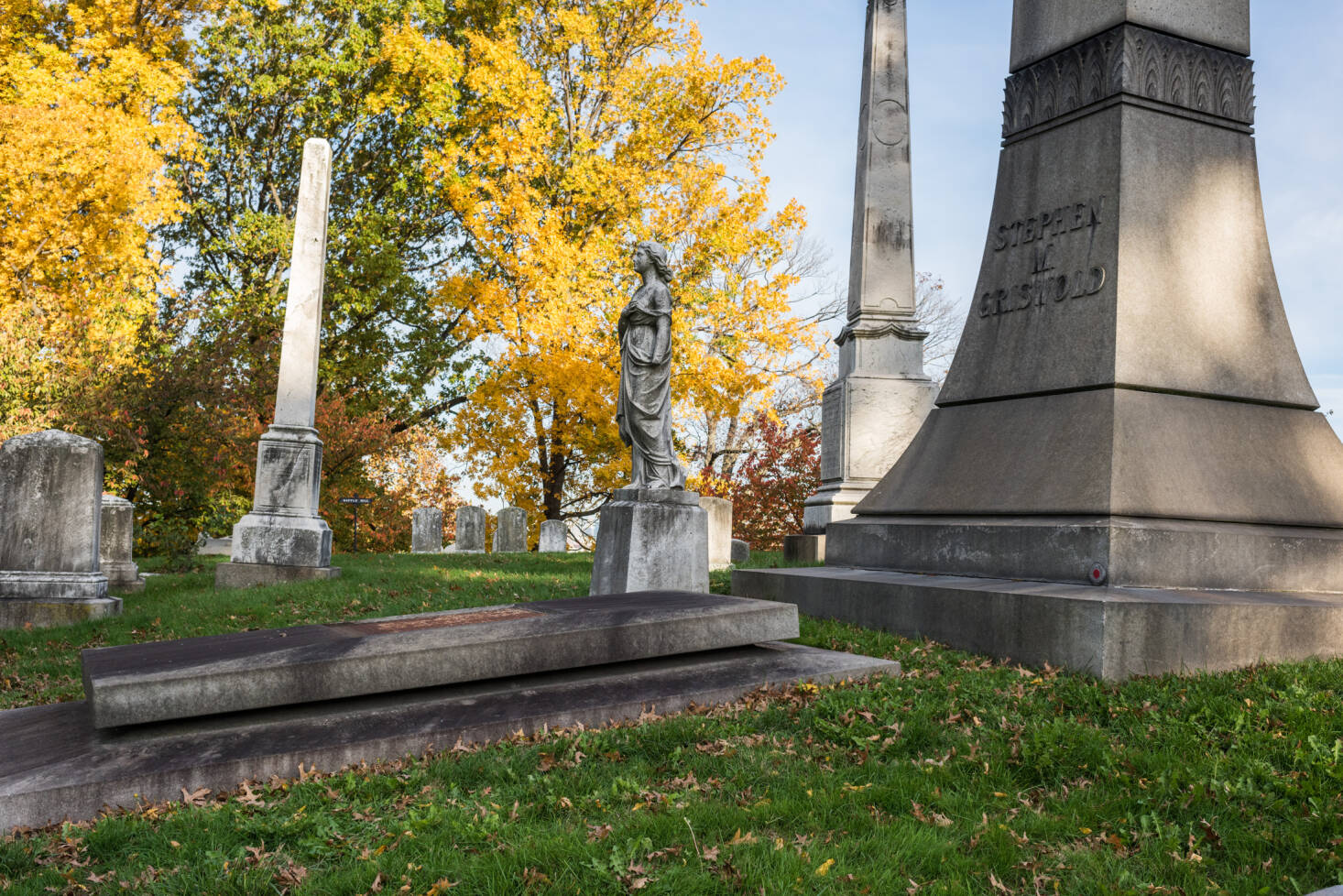 Green-Wood: Rewilding Civic Lawns, Tombs Optional - Gardenista