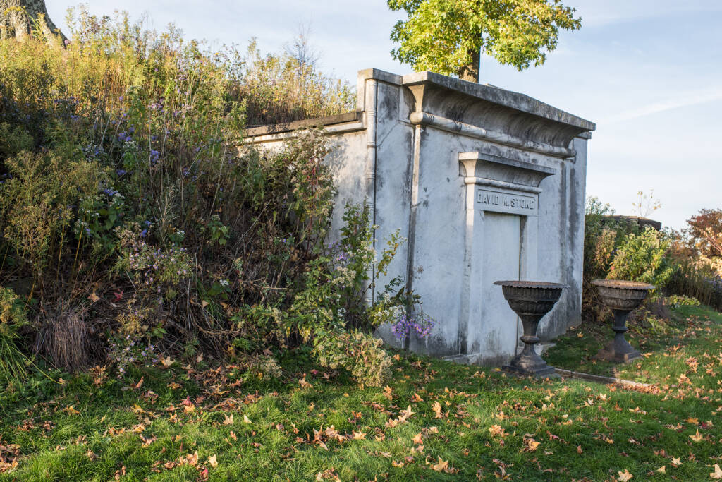 Green-Wood: Rewilding Civic Lawns, Tombs Optional - Gardenista