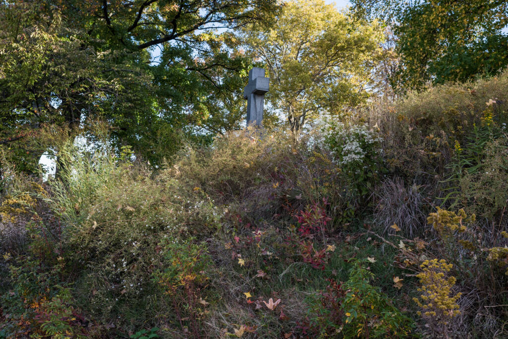 Green-Wood: Rewilding Civic Lawns, Tombs Optional - Gardenista