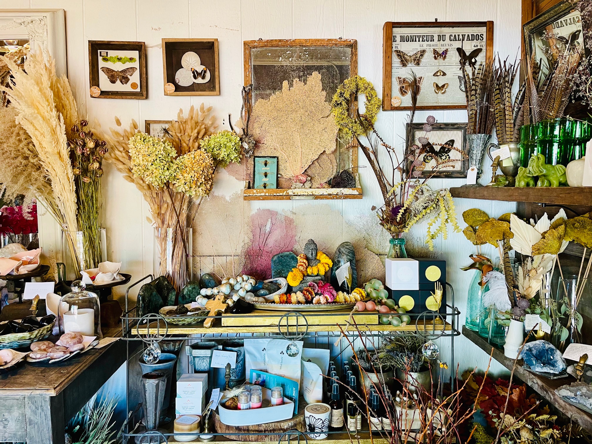 Ask the Expert: Florist Gayle Nicoletti on How to Dry Flowers - Gardenista