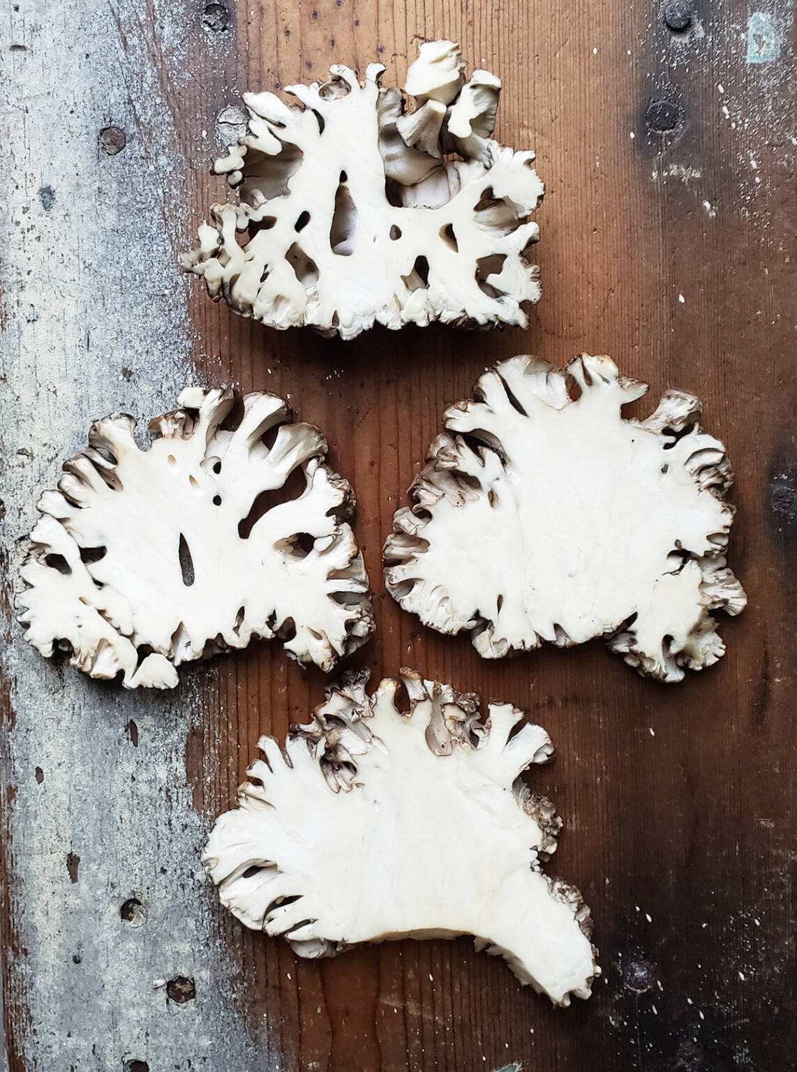 Maitake: The Expensive Mushroom You Can Forage for Free - Gardenista