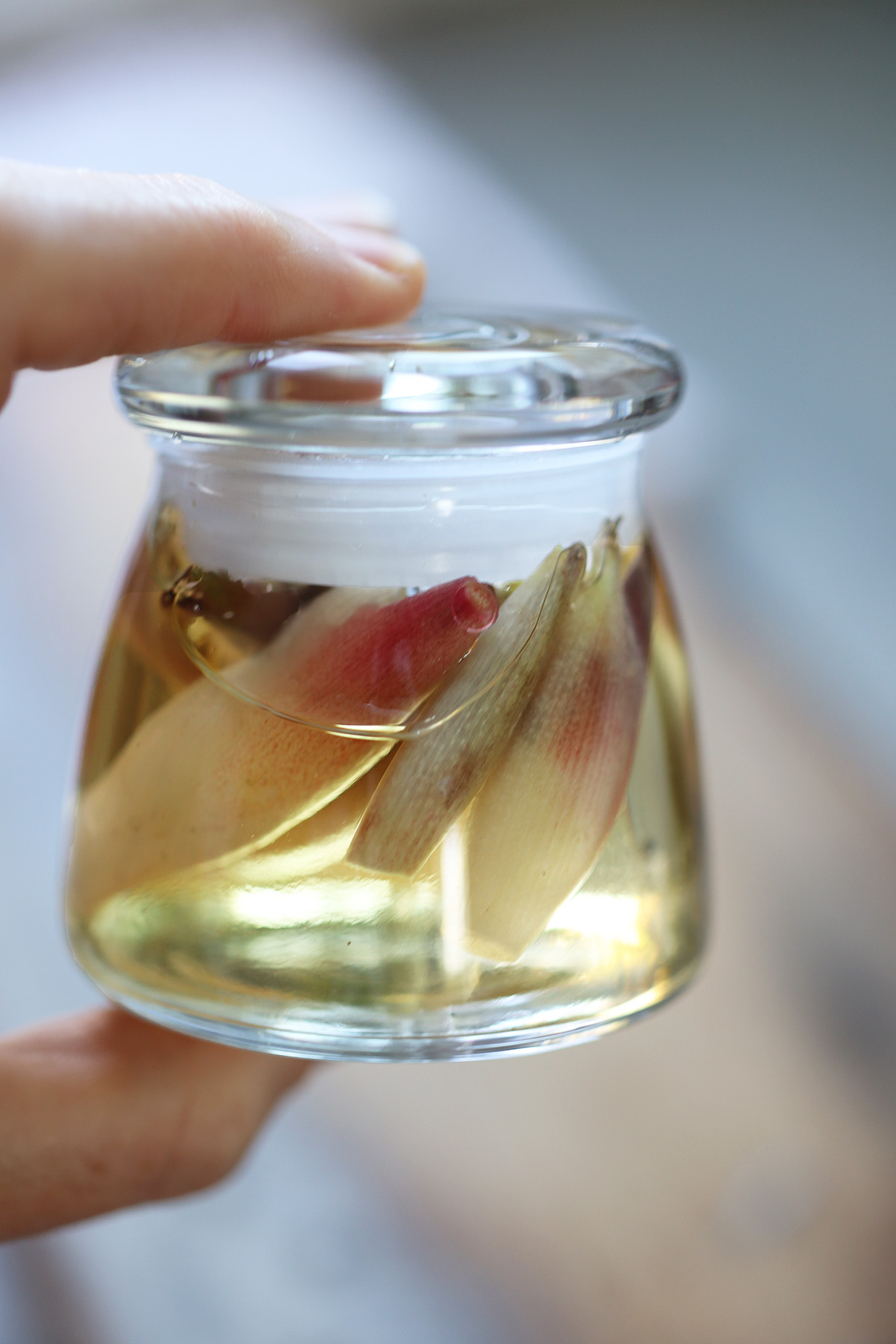 Myoga Buds: How to Grow the Autumn Asian Delicacy - Gardenista