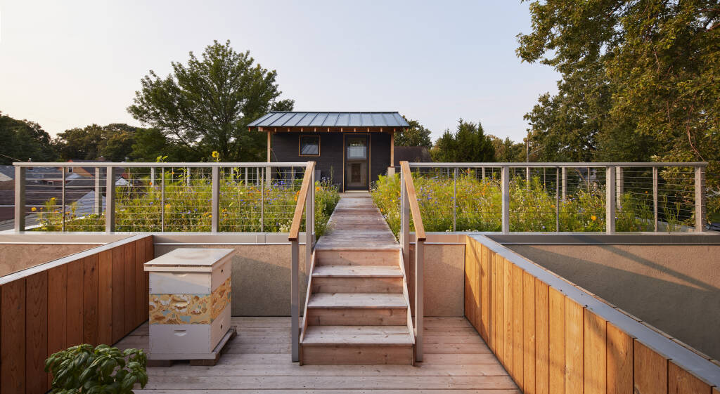 Sauna Culture: A Rooftop Oasis (and Wildflower Meadow) in Minnesota ...