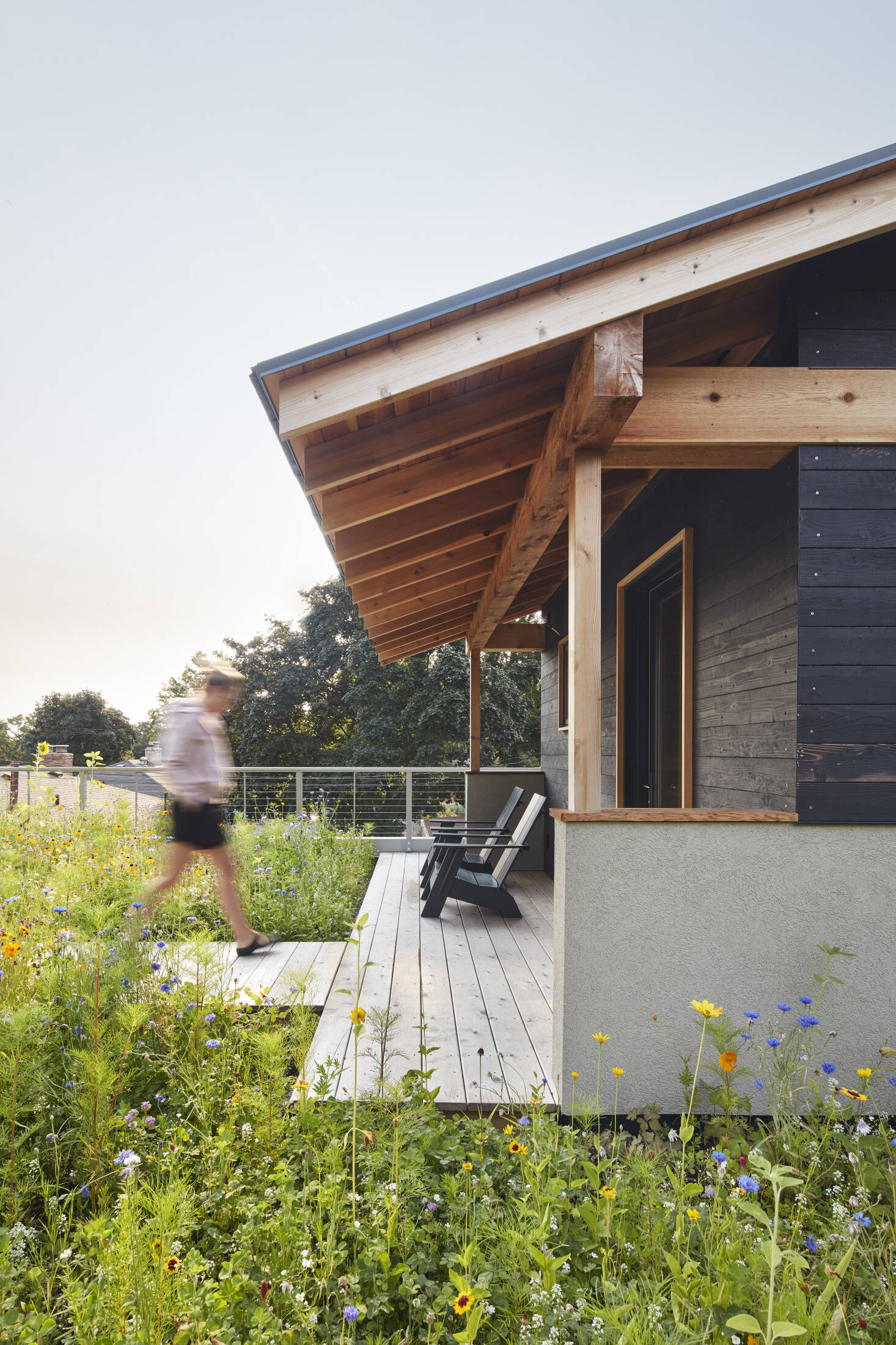 Sauna Culture: A Rooftop Oasis (and Wildflower Meadow) in Minnesota ...