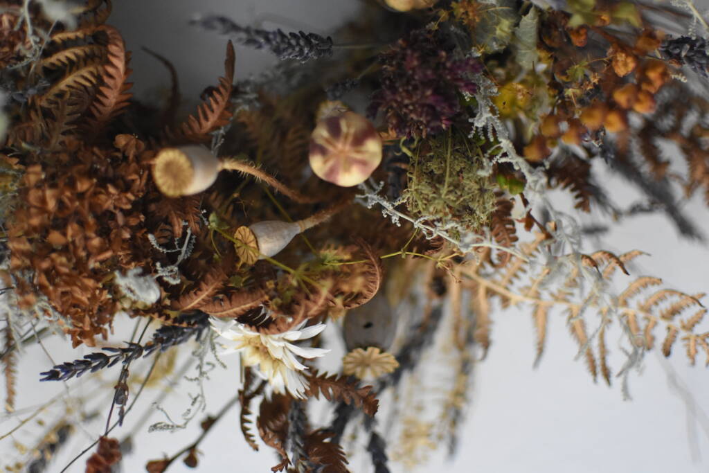 Foraged Bracken: Autumn's Most Beguiling Floral Design Element - Gardenista