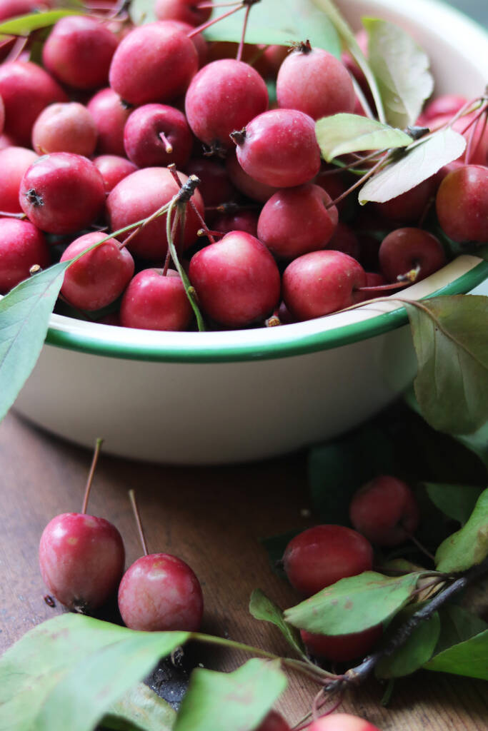 A Unique Seasonal Treat: Spiced, Candied Crabapples - Gardenista