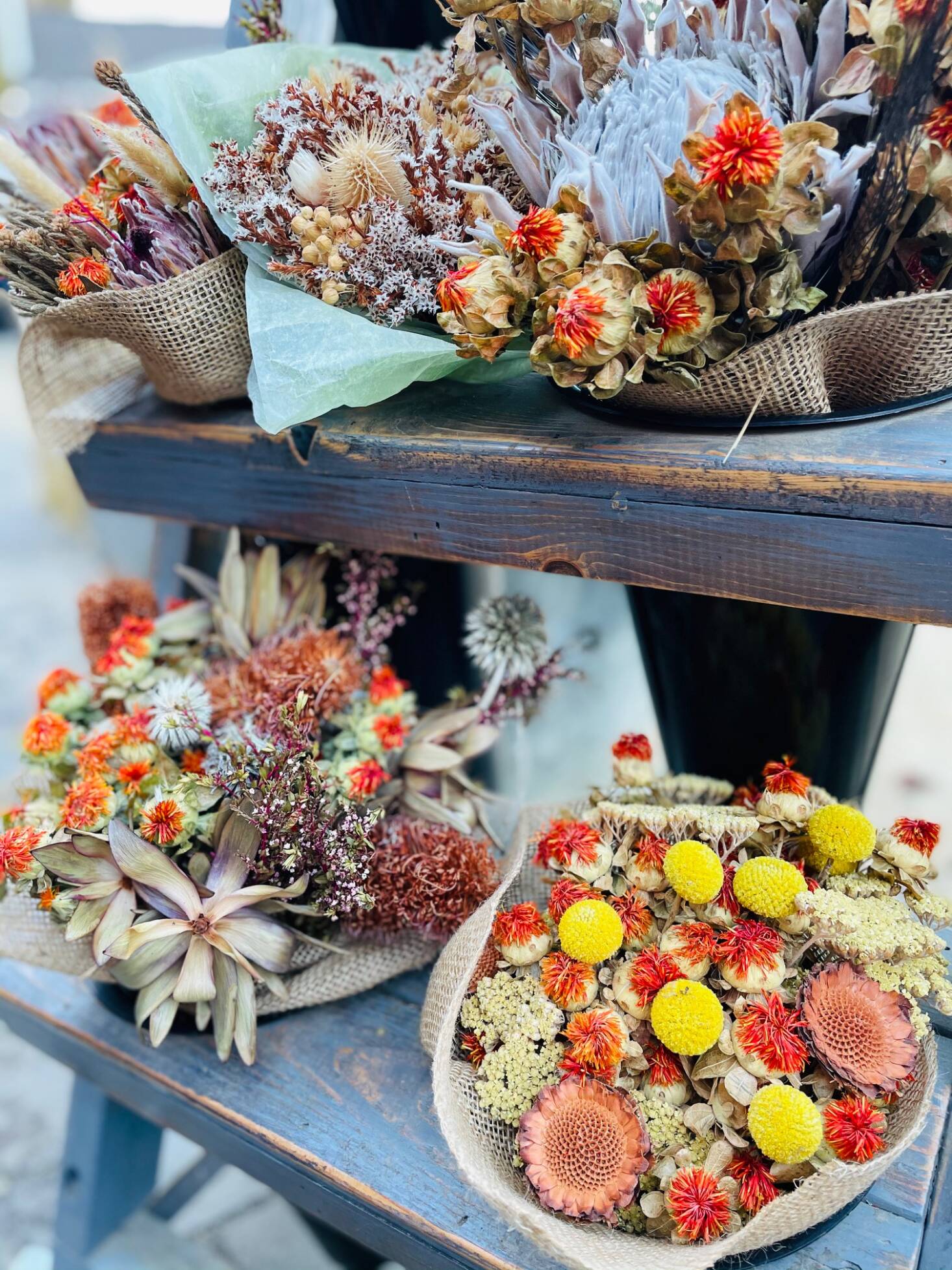 Gardening 101: Safflower - Gardenista