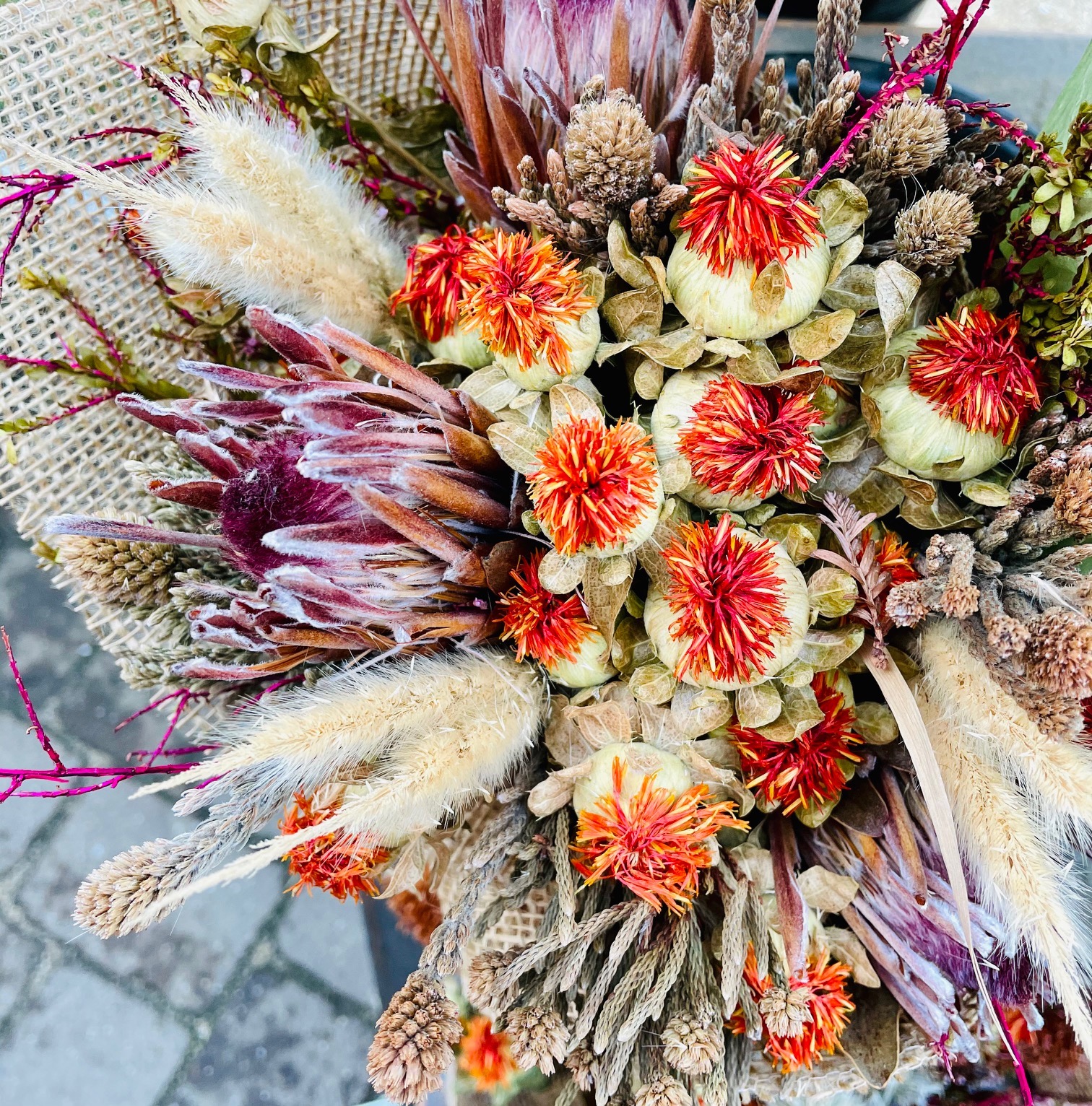 Gardening 101: Safflower - Gardenista