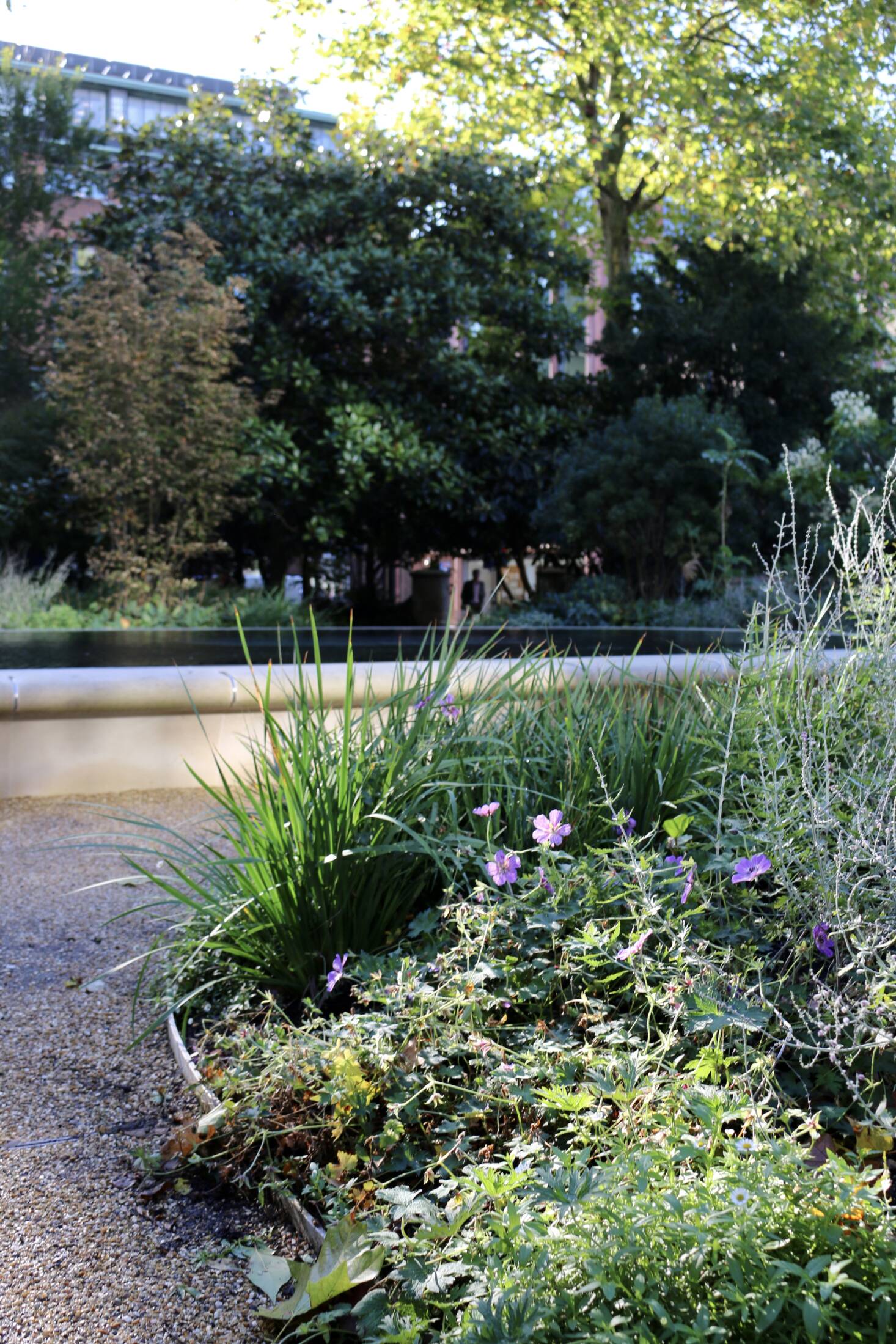 Garden Visit: A London Pocket Park with a Famous Neighbor - Gardenista