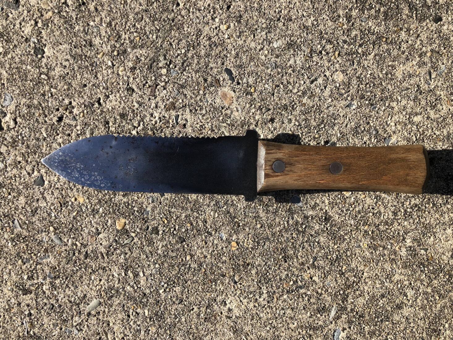 Expert Advice: How to Get Rust off Tools - Gardenista