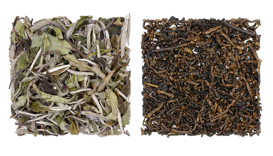 Expert Advice: Sebastian Beckwith on How to Brew a Good Cup of Tea (Again and Again) - Gardenista