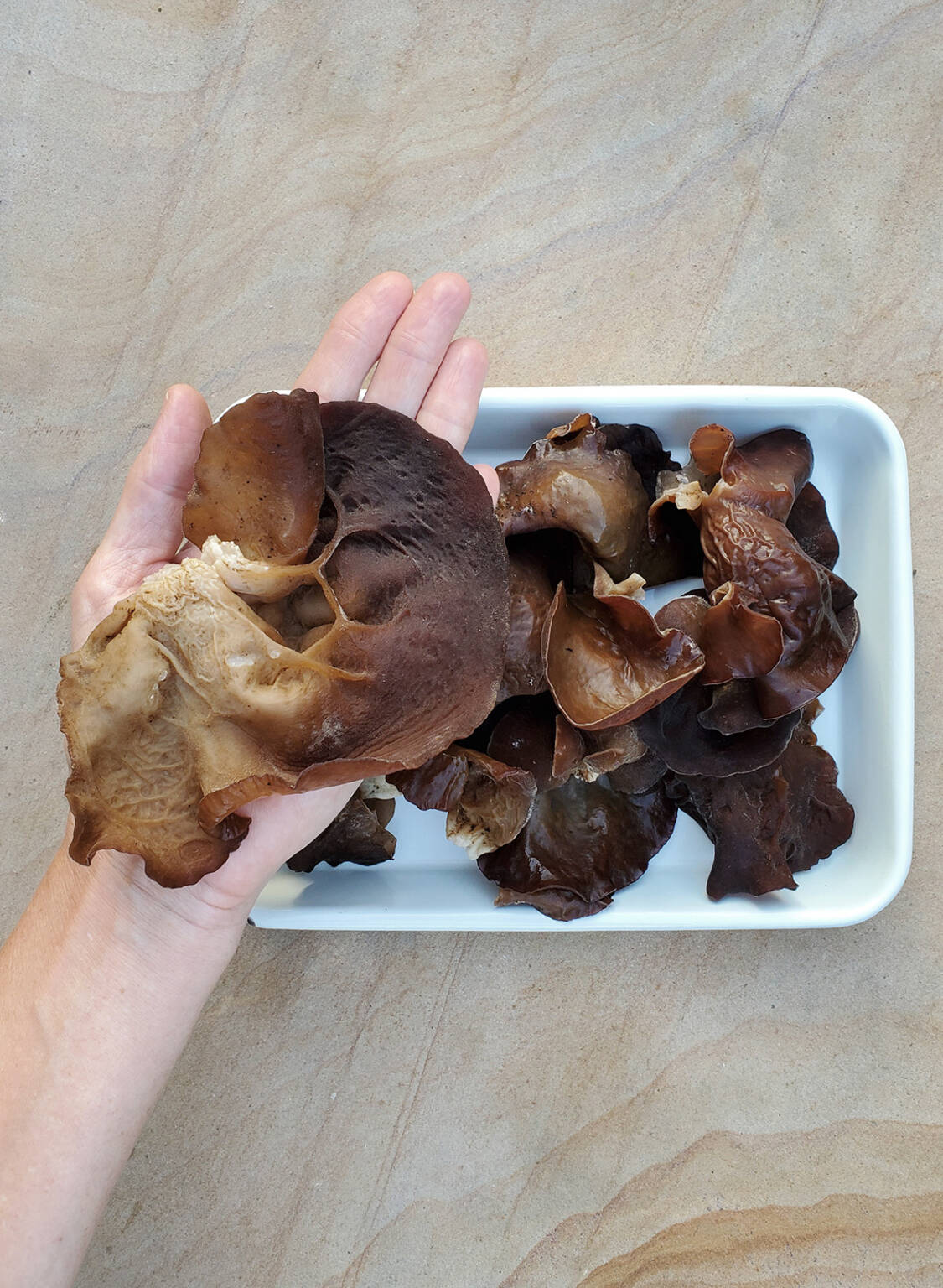 Wood Ear Mushrooms: A Delicate Treat - Gardenista