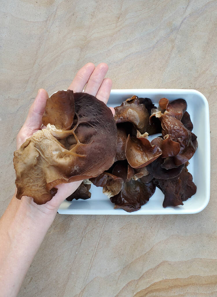 Wood Ear Mushrooms: A Delicate Treat - Gardenista