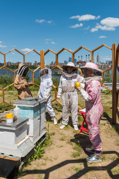 Buzz Worthy: How to Help Honeybees Through Winter, With Island Bee ...