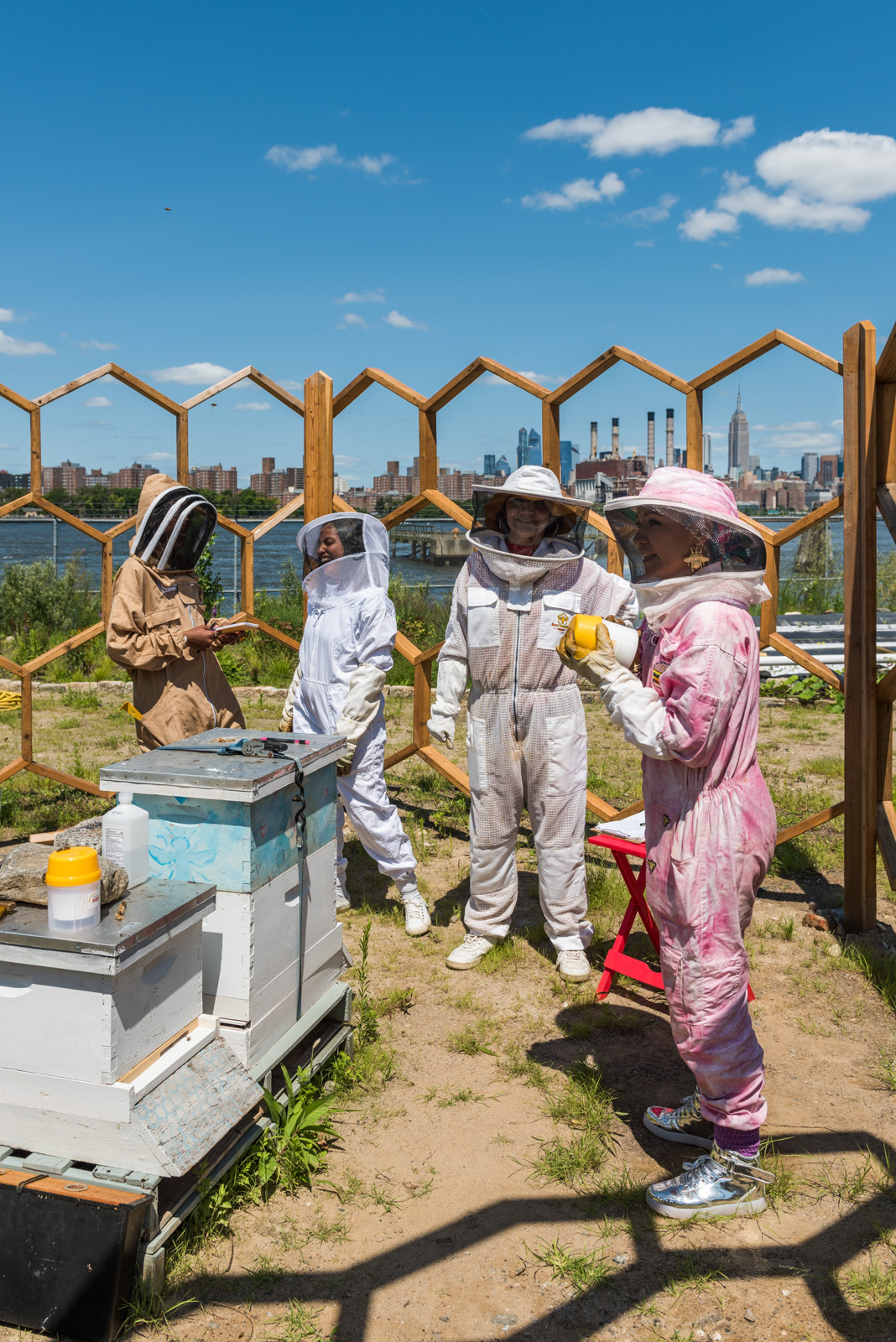 Buzz Worthy: How to Help Honeybees Through Winter, With Island Bee ...