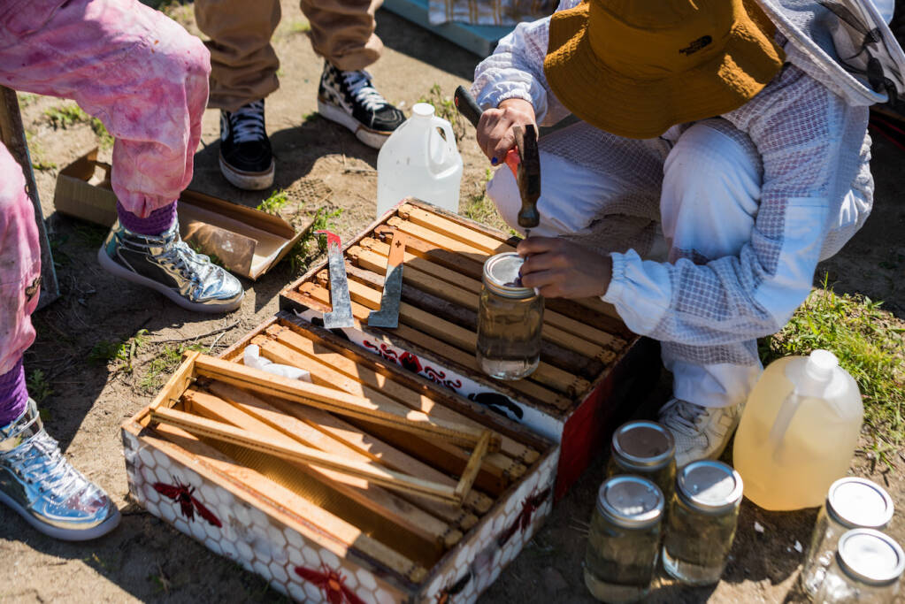 Buzz Worthy: How to Help Honeybees Through Winter, With Island Bee ...