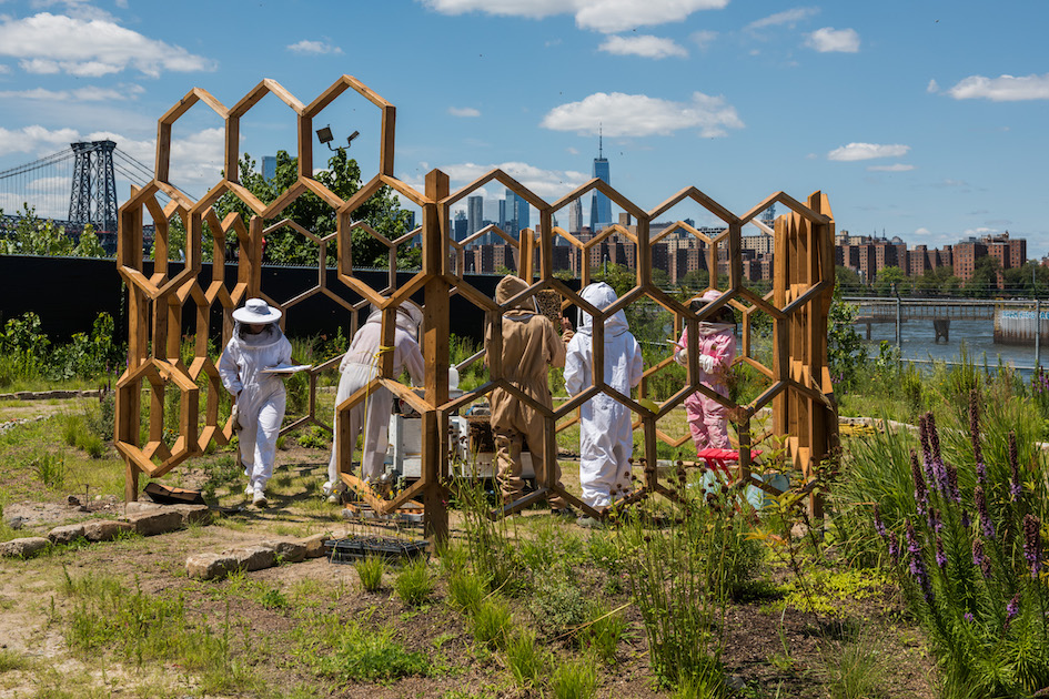 Buzz Worthy: How to Help Honeybees Through Winter, With Island Bee ...