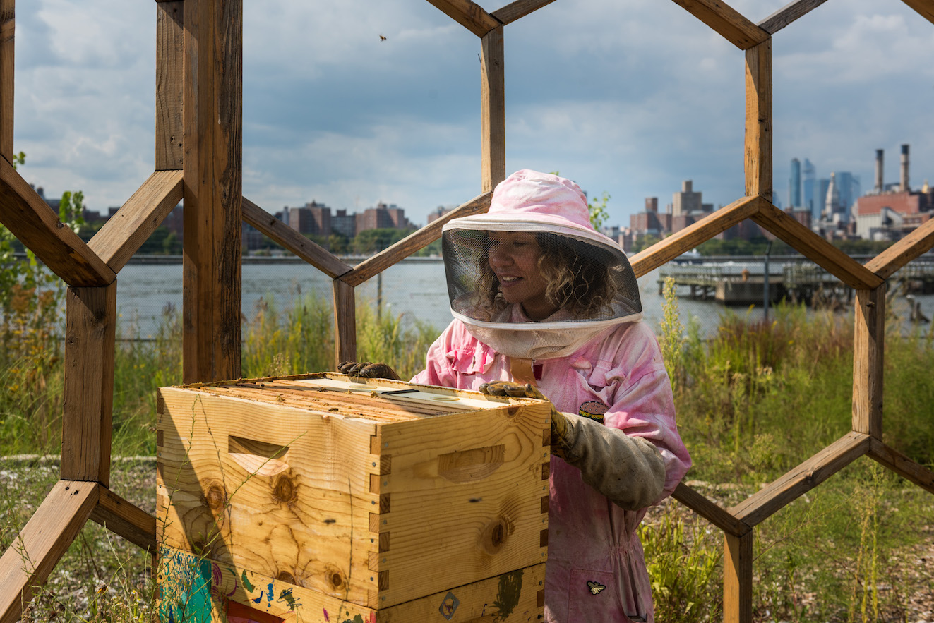 Buzz Worthy: How to Help Honeybees Through Winter, With Island Bee ...