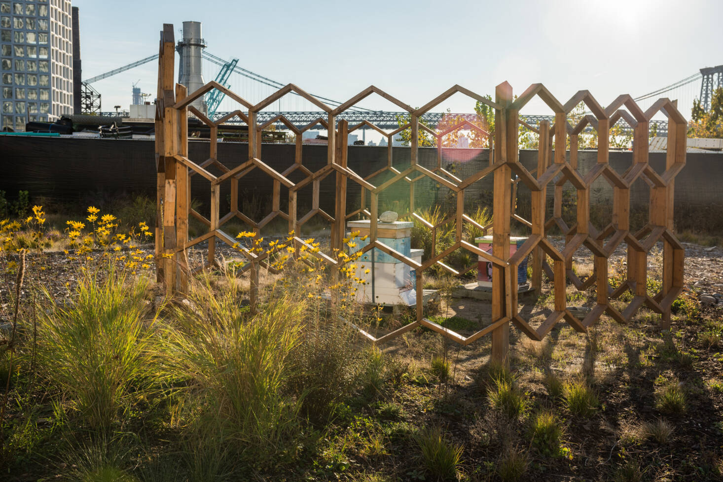 Buzz Worthy: How to Help Honeybees Through Winter, With Island Bee ...