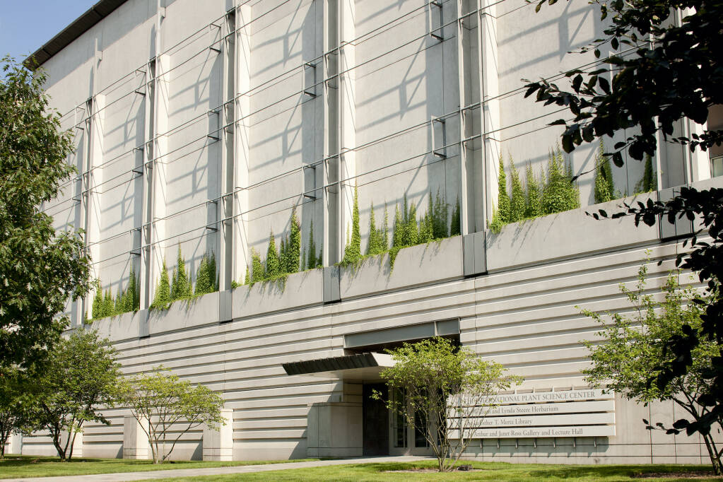 A Museum of Plants: Centuries of Dried Flora and Fungi at the New York ...