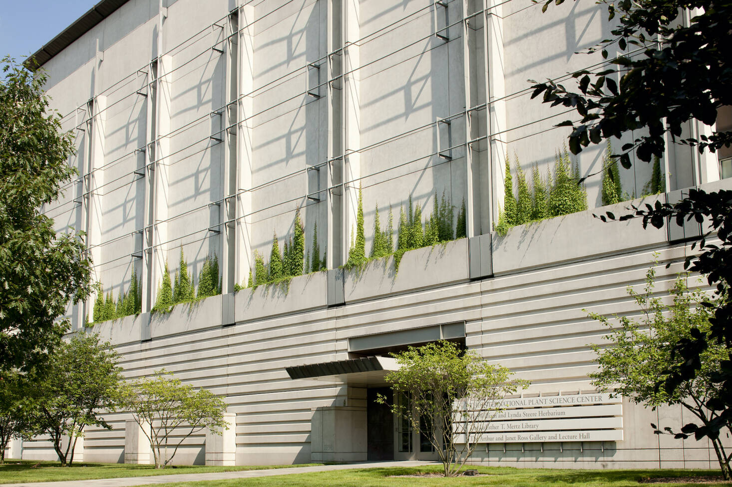 A Museum of Plants: Centuries of Dried Flora and Fungi at the New York ...