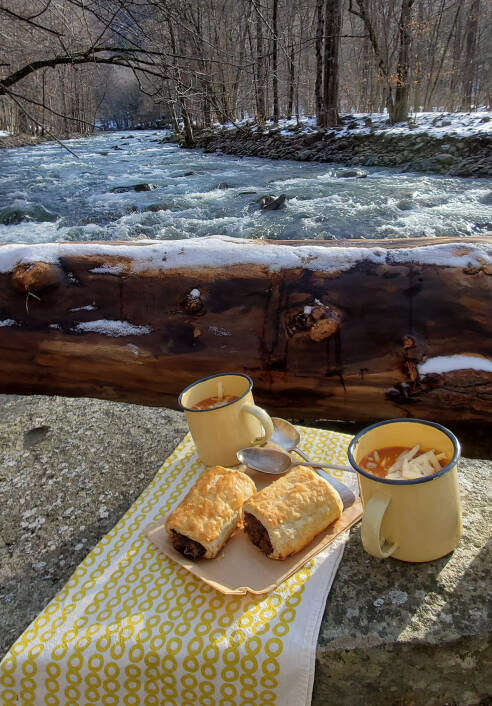 Winter Oyster Mushrooms: A Forageable Succulent Treat - Gardenista