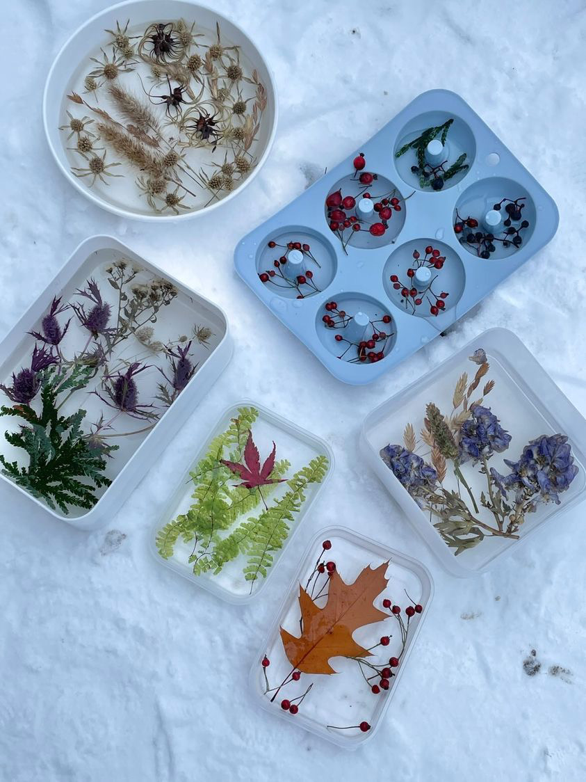 With Love From Japan: DIY Frozen Herbariums - Gardenista