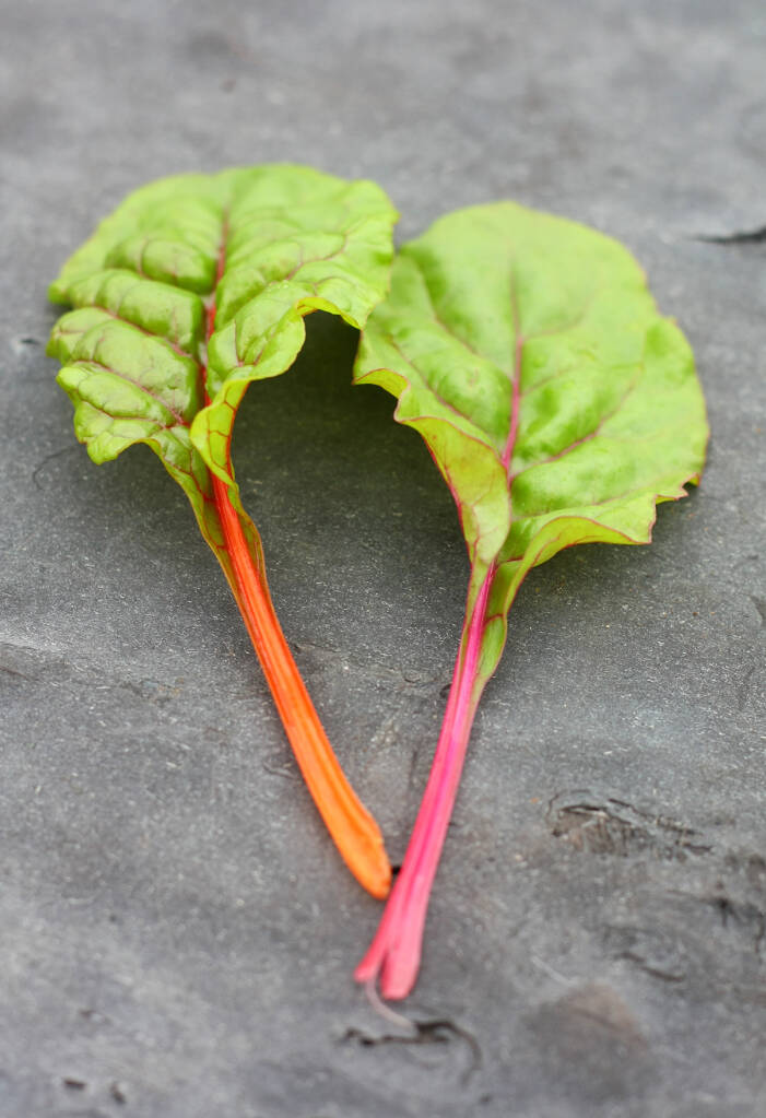 Make the Most of Your Greens: A Recipe for Leafballs - Gardenista