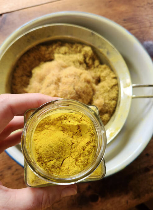 Cattail pollen is a delicious seasonal ingredient, ripe in early summer