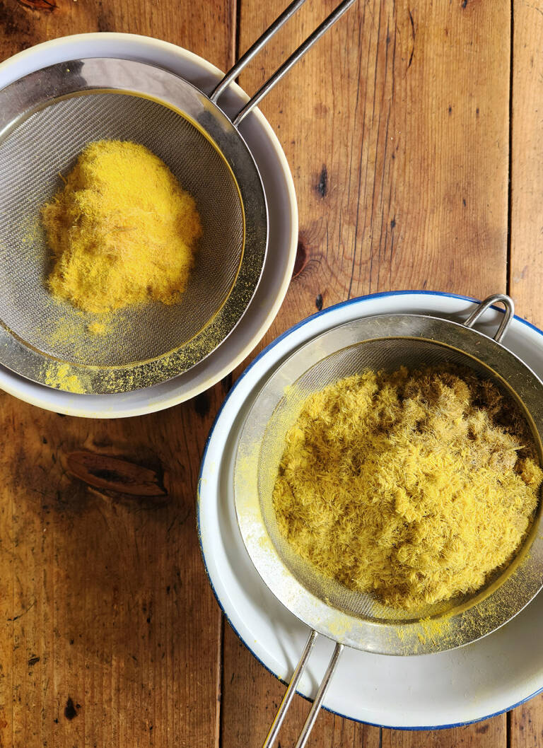 Cattail pollen is a delicious seasonal ingredient, ripe in early summer