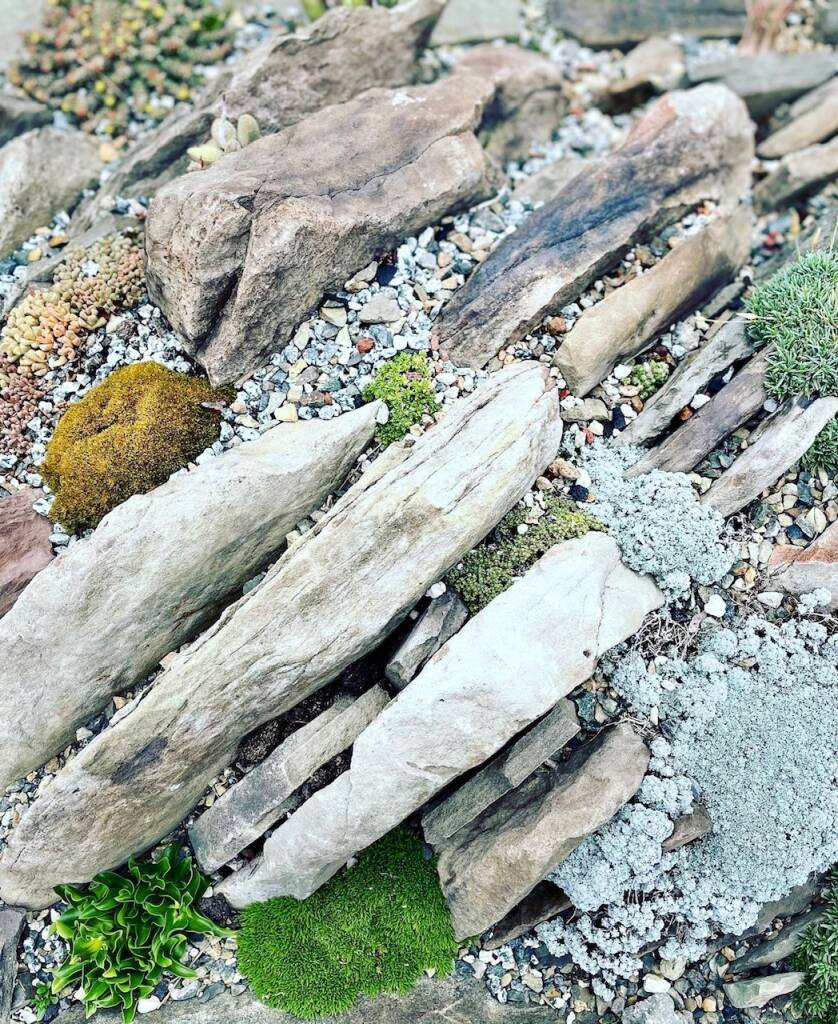 The Garden Decoder: What Is 'Crevice Gardening'? - Gardenista