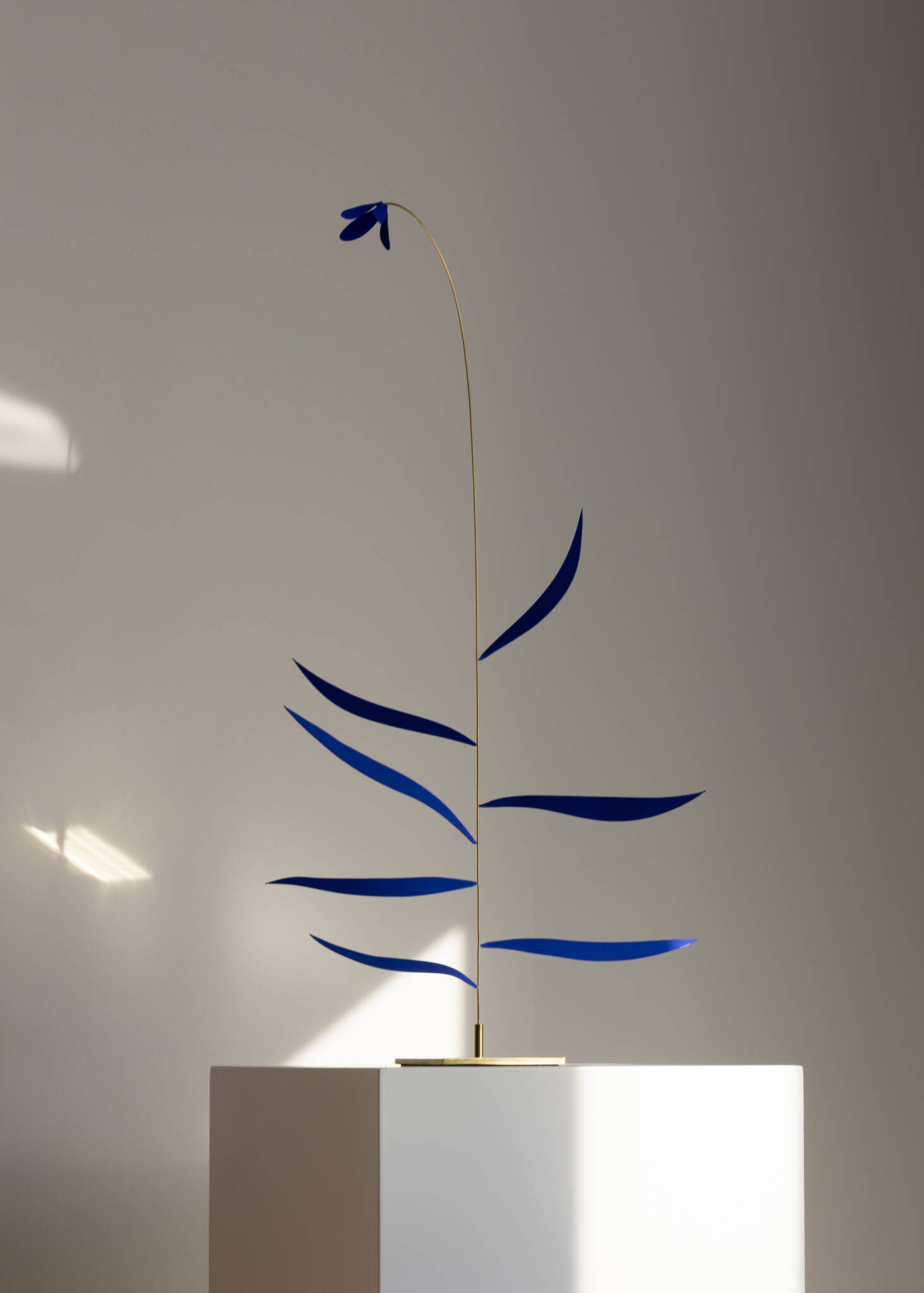 Brooklyn Blues: Artist Daniel Murphy's Paper Flower Sculptures - Gardenista