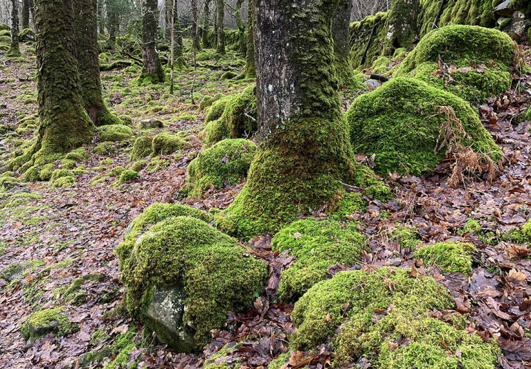 Gardenista Contributor Kendra Wilson