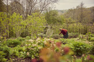 Jane Scotter, on Biodynamic Growing: 'I Wouldn't Farm Any Other Way ...