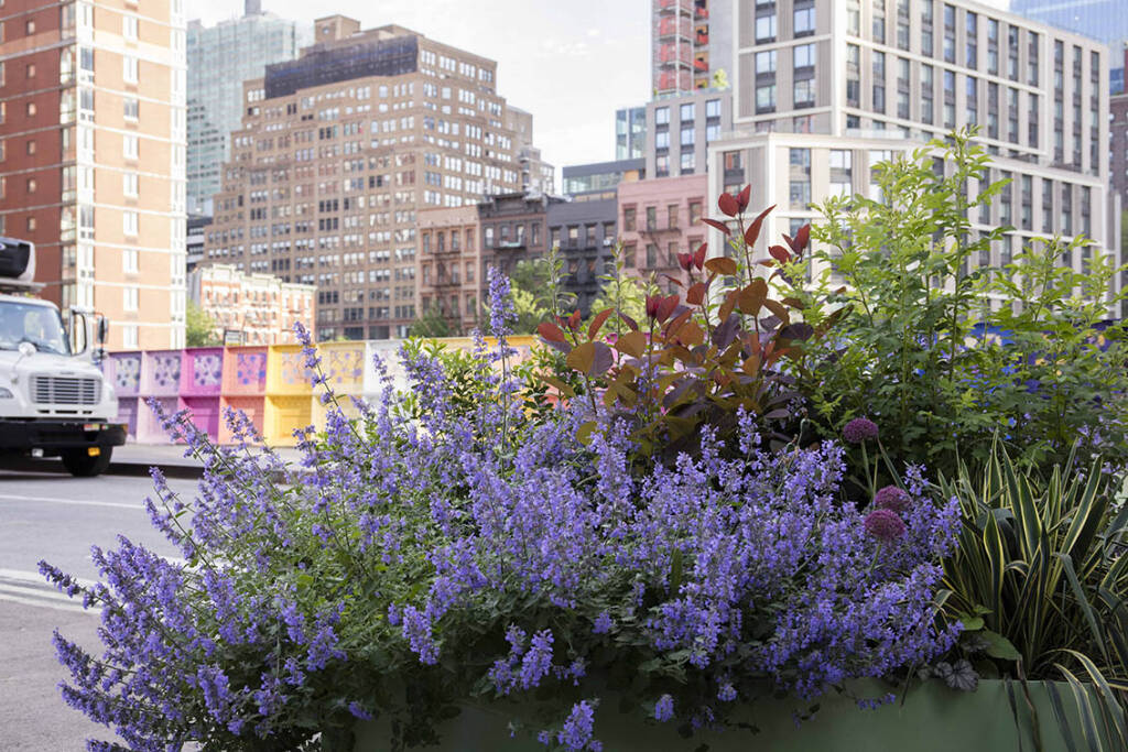 Design Wild: Turning the Streets of New York into a Garden - Gardenista