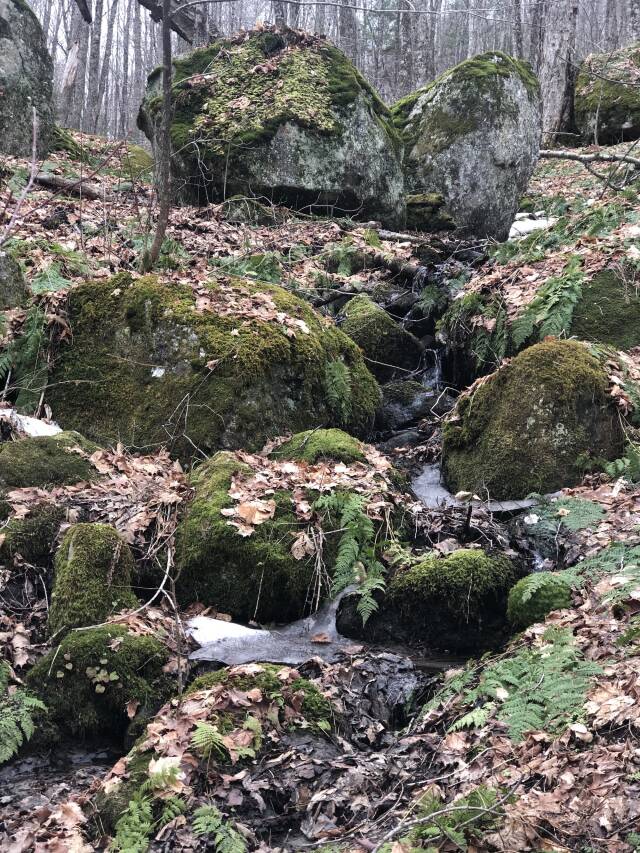 10 Questions with Floral Designer Emily Thompson - Gardenista