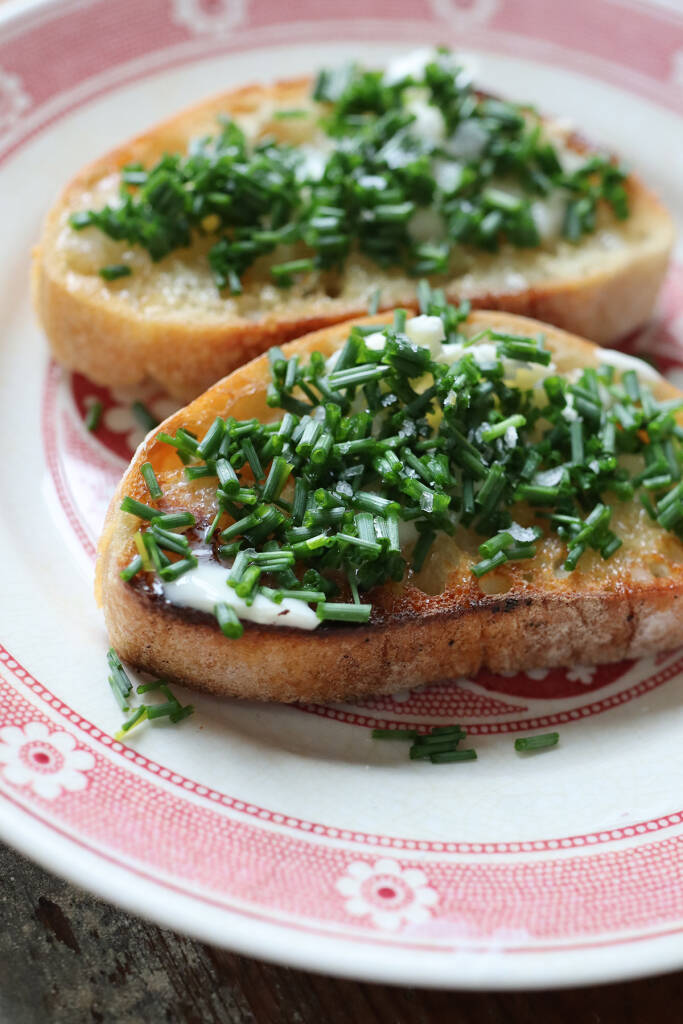 Field garlic is more sustainable than native wild ramps